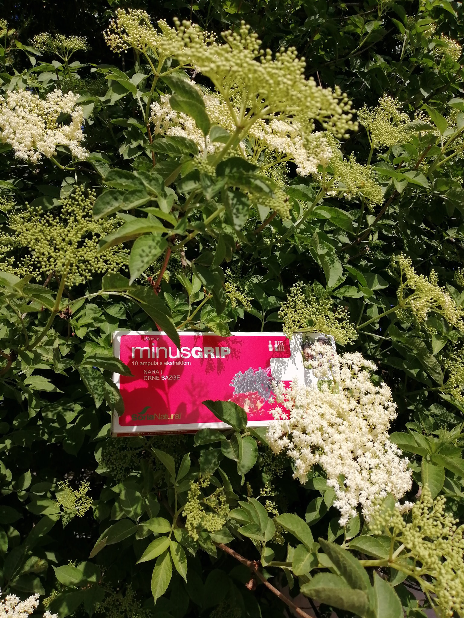 Minusgrip 15ml/10 komada Soria Natural